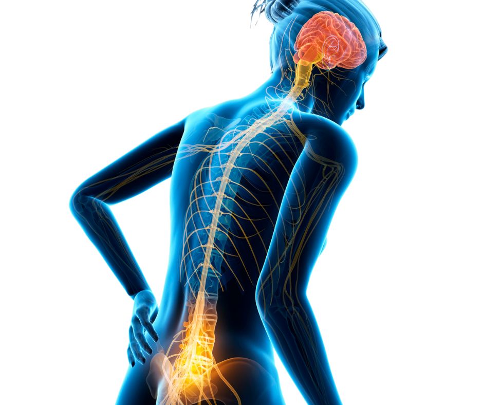 Dr David Johnson ReActiv8 & How It Helped His Practice